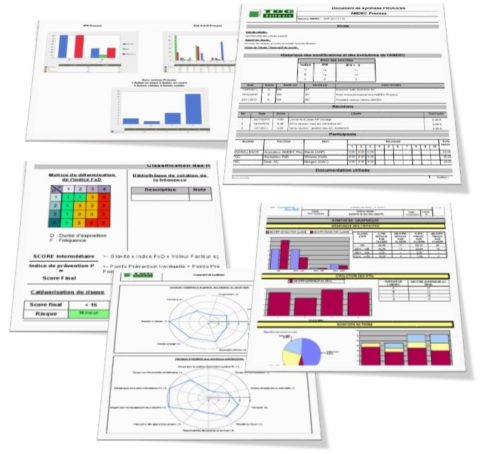 AMDEC Process : reporting standard ou rapports personnalisés